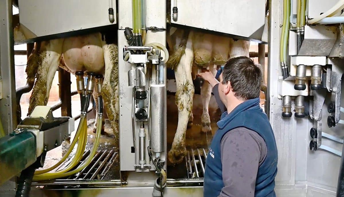 Robot de Traite Mayenne - Matériel, Salle de Traite et Robot